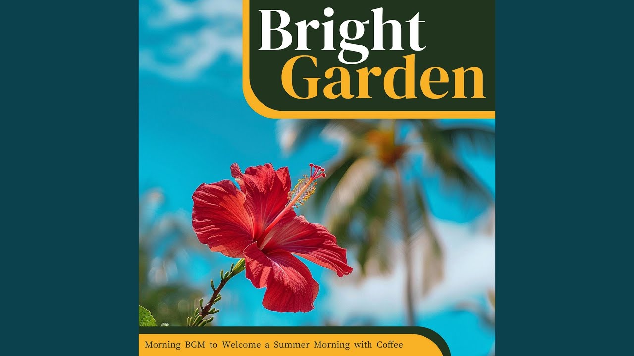 Delightful Dawn Melodies - YouTube