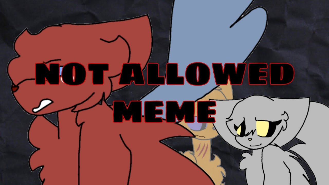 Not allowed meme (loop) - YouTube