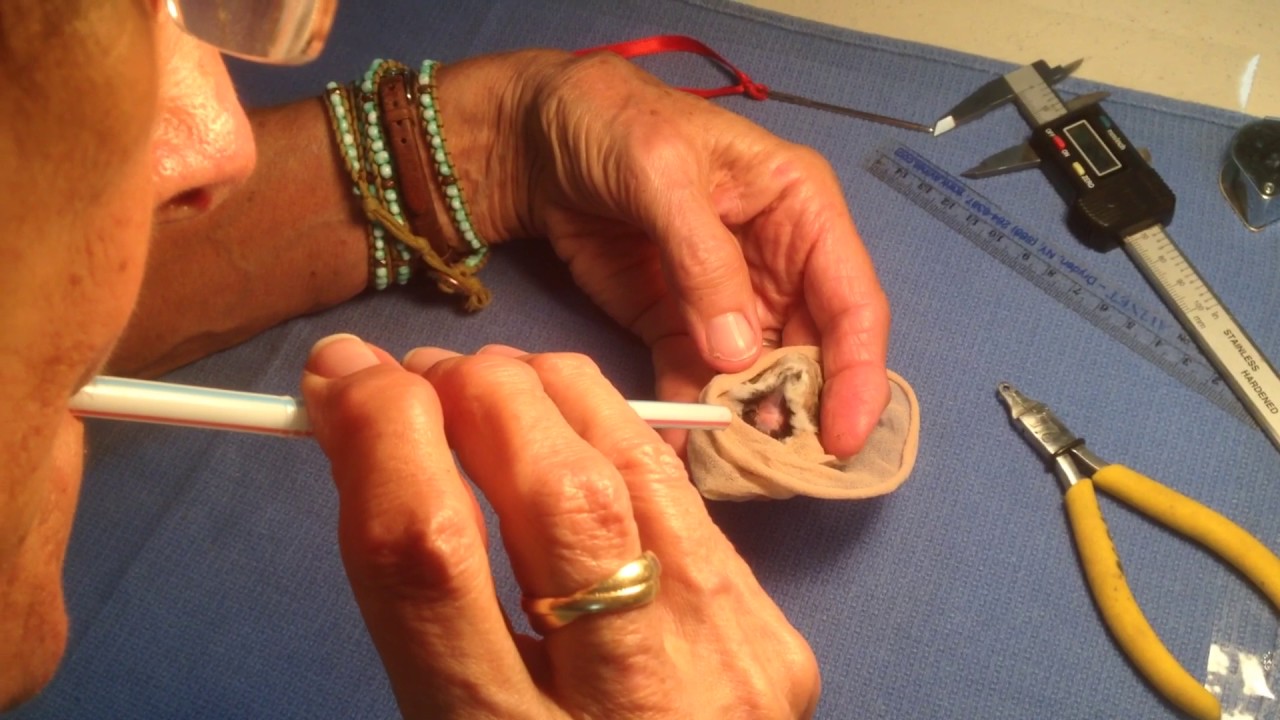 Pregnant/Gravid Hummingbird - YouTube