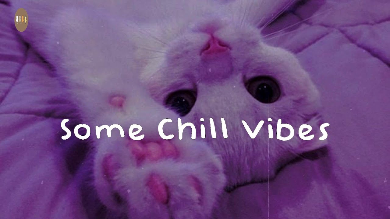 Some Chill Vibes - aesthetic songs for studying - YouTube