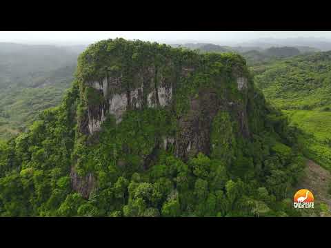 Cerro Teria, Capira.