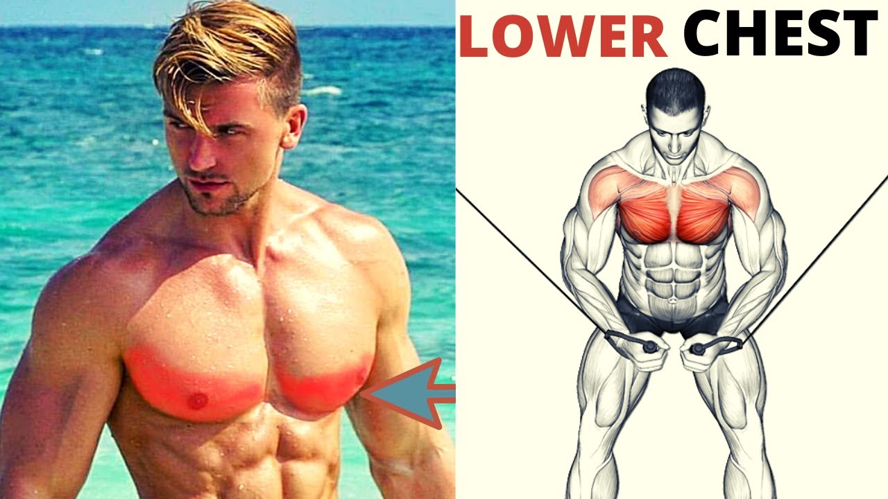 7 BEST LOWER CHEST WORKOUT / musculation bas des pecs - YouTube 7 BEST LOWER CHEST WORKOUT / musculation bas des pecs - YouTube