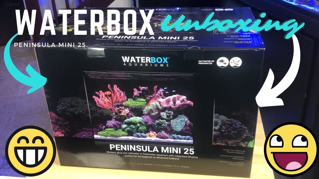 Waterbox peninsula mini 25 Unboxing #waterbox #waterboxpeninsula - YouTube