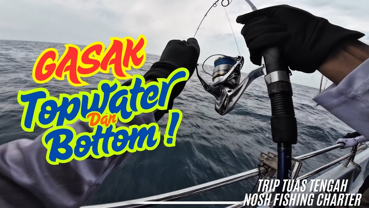 Tak dijangka TOPWATER sangat GANGSTER, BOTTOM pulak RAMAH! Trip tuas ...