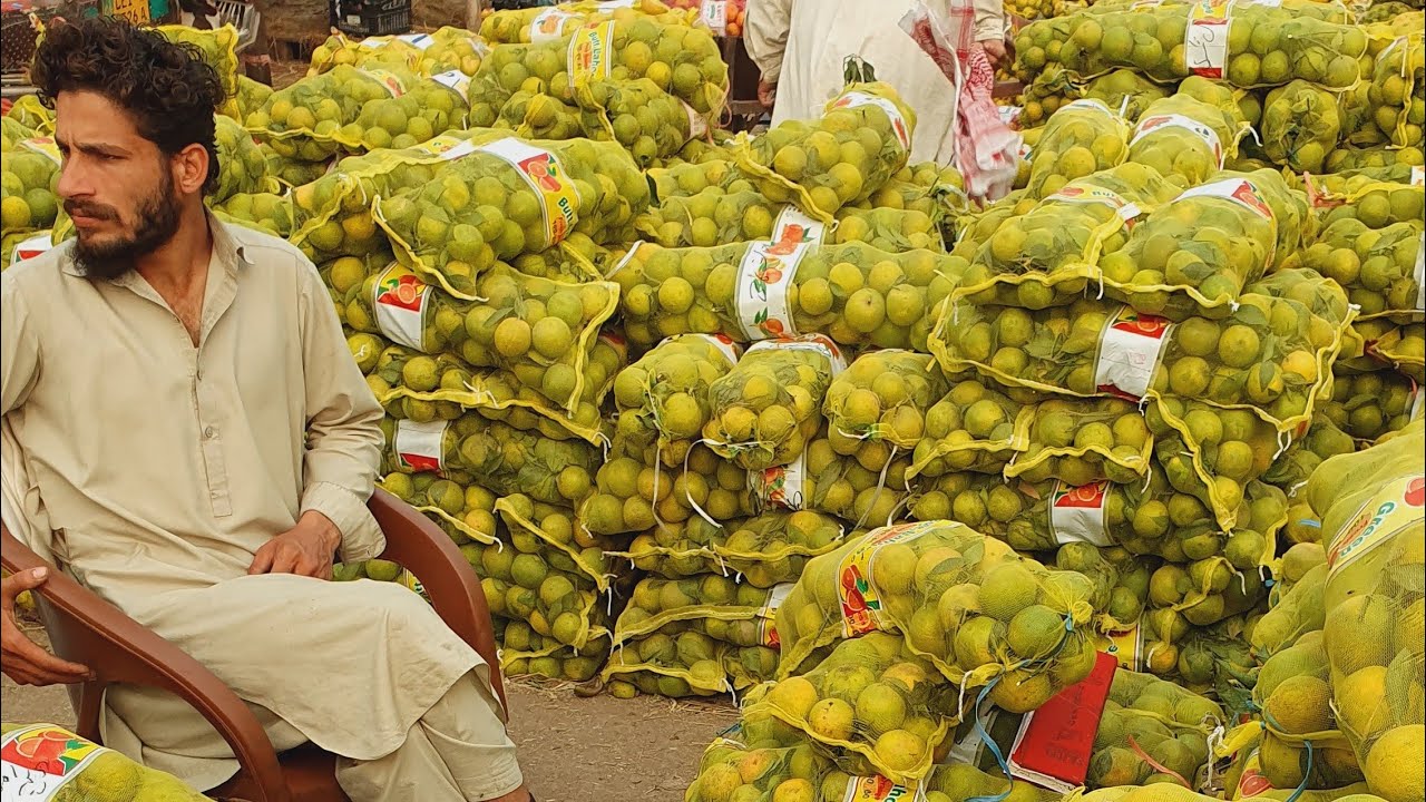 Fruiters Market ponch gai | Malta, kinow aur musami | Daily fruits ...