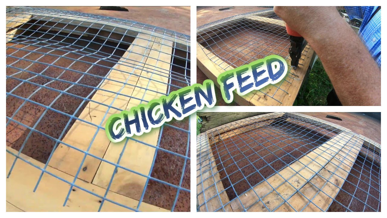STRETCHING YOUR CHICKEN FEED PT.5 || CHICKEN RAISED BED - YouTube