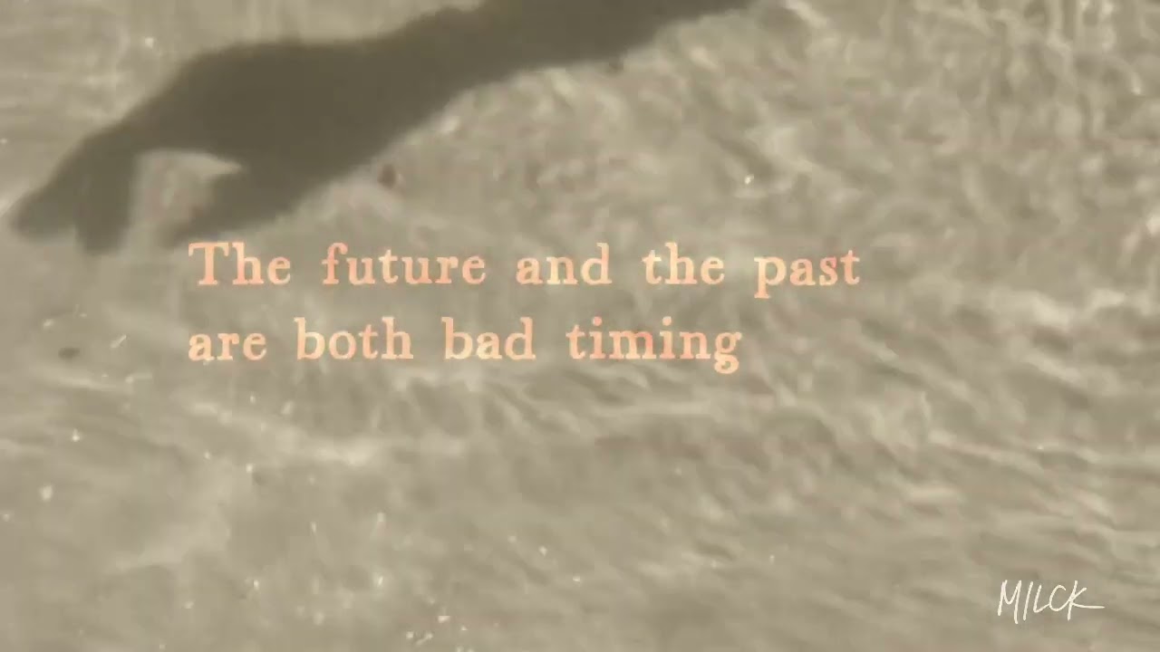 Animal - Official Lyric Video - YouTube