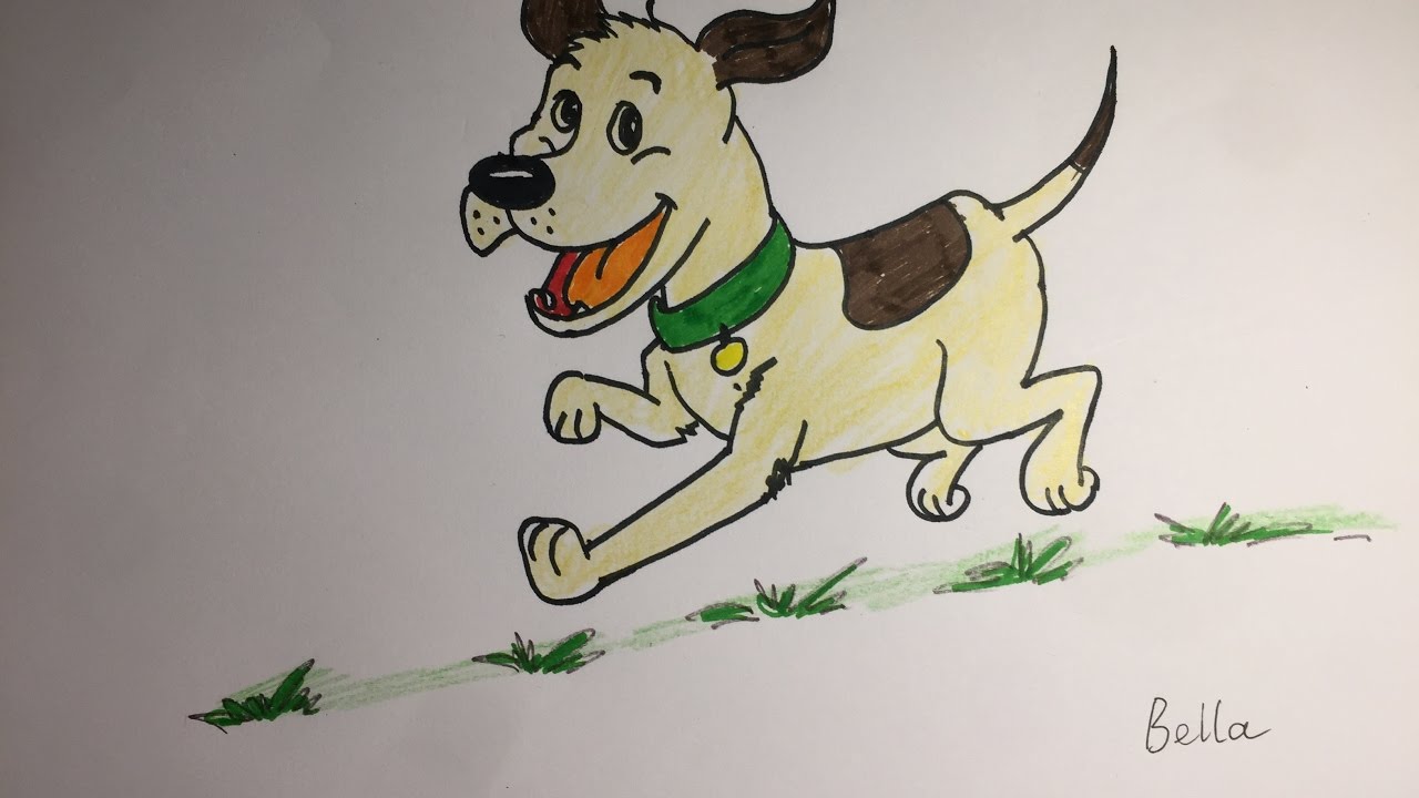 How To Draw animal - Drawing the dog | Bella Do - YouTube