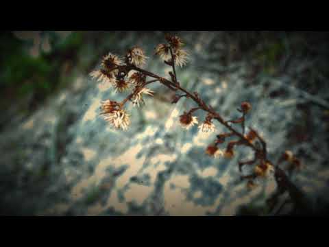 Retro Film (Old Movie) Style Test....***Terrible***