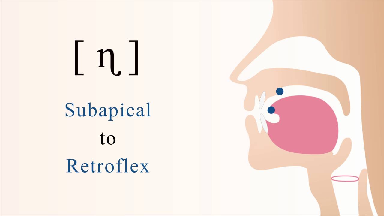[ ɳ ] voiced subapical retroflex nasal stop - YouTube