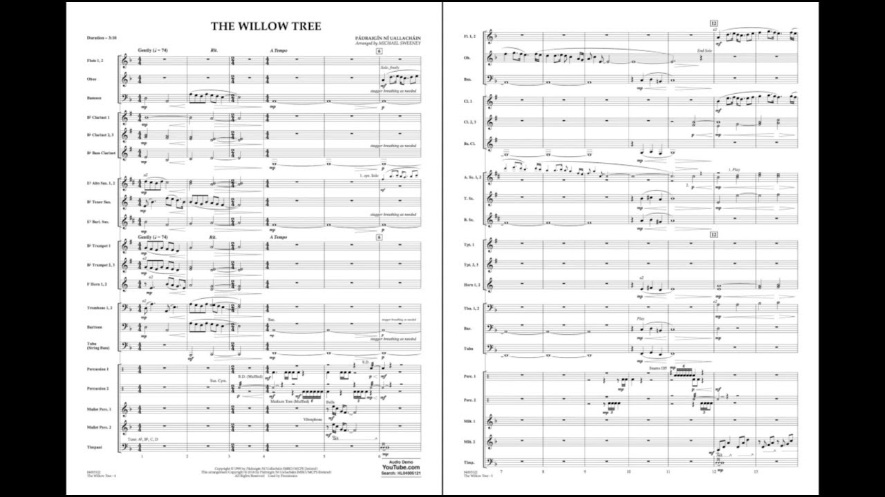 The Willow Tree by Pádraigín Ní Uallacháin/arr. Michael Sweeney - YouTube