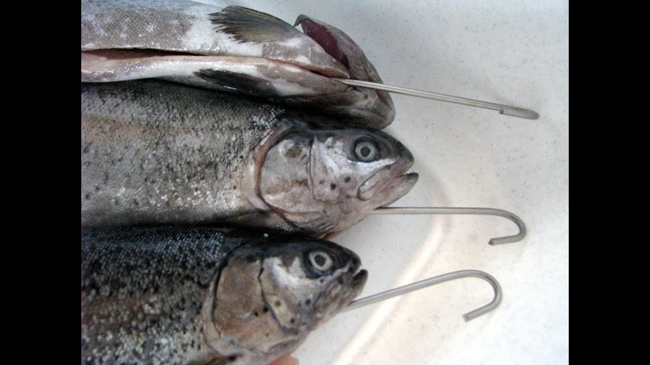 Forelle filetieren, auch so geht´s. - YouTube