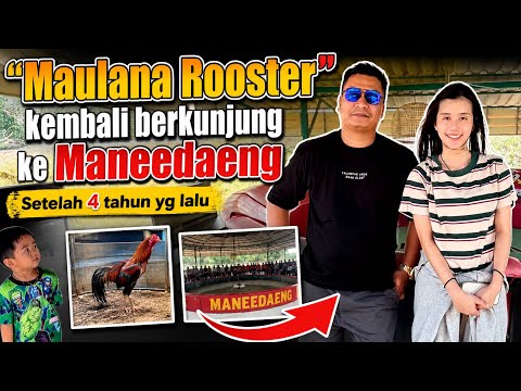 BERKUNJUNG KEMBALI KE FARM MANEEDAENG 