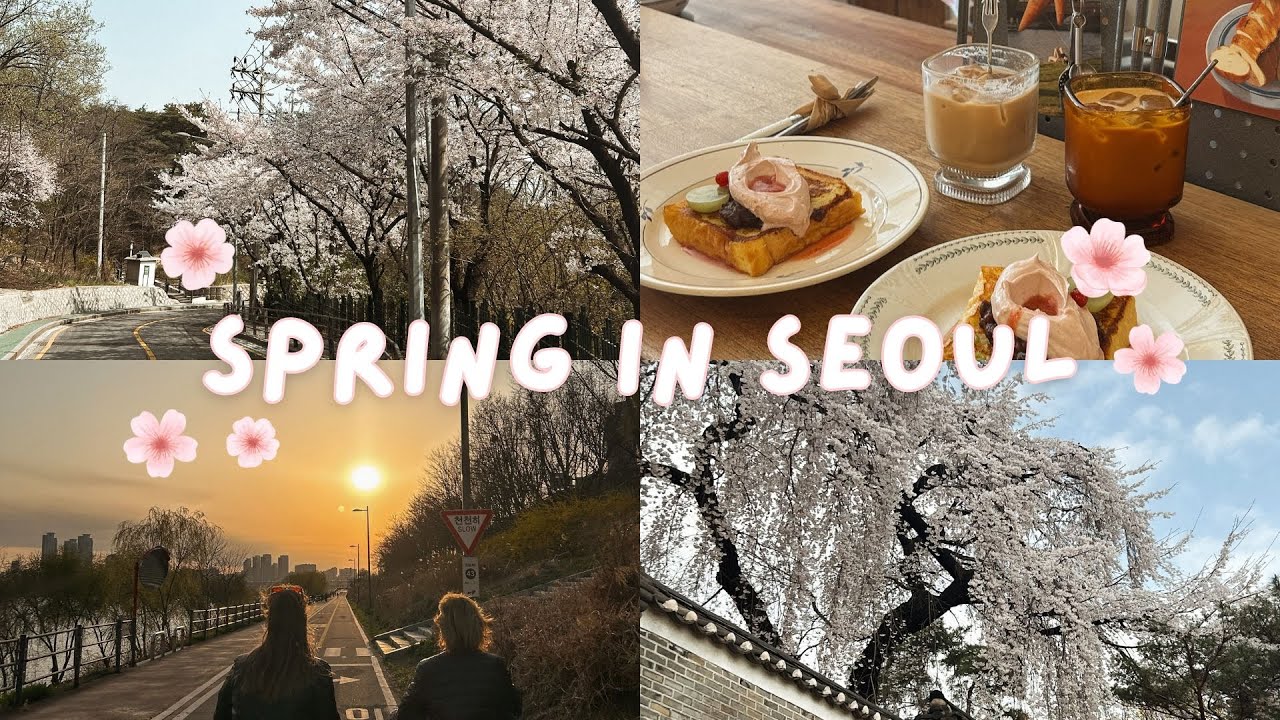 Spring in Seoul // cherry blossoms, picnics and han river - YouTube