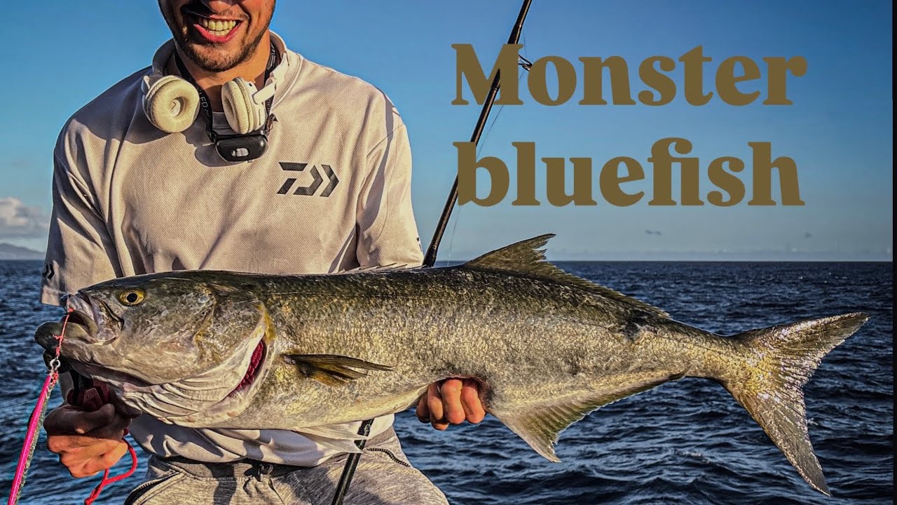 OCEAN VLOG EP. 10: Another MONSTER BLUEFISH - YouTube