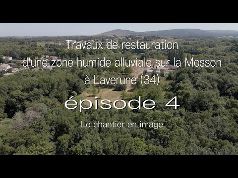 Film restauration mosson 4