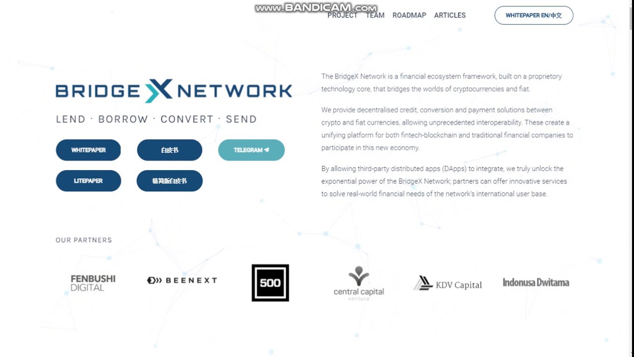 BridgeX Network Nedir ve Özellikleri Nelerdir (TR) - YouTube