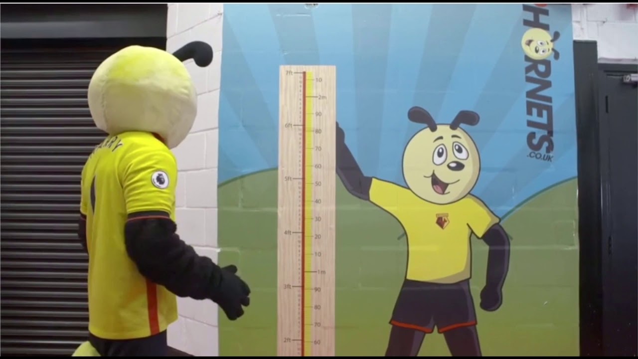 Maths position and movement - YouTube