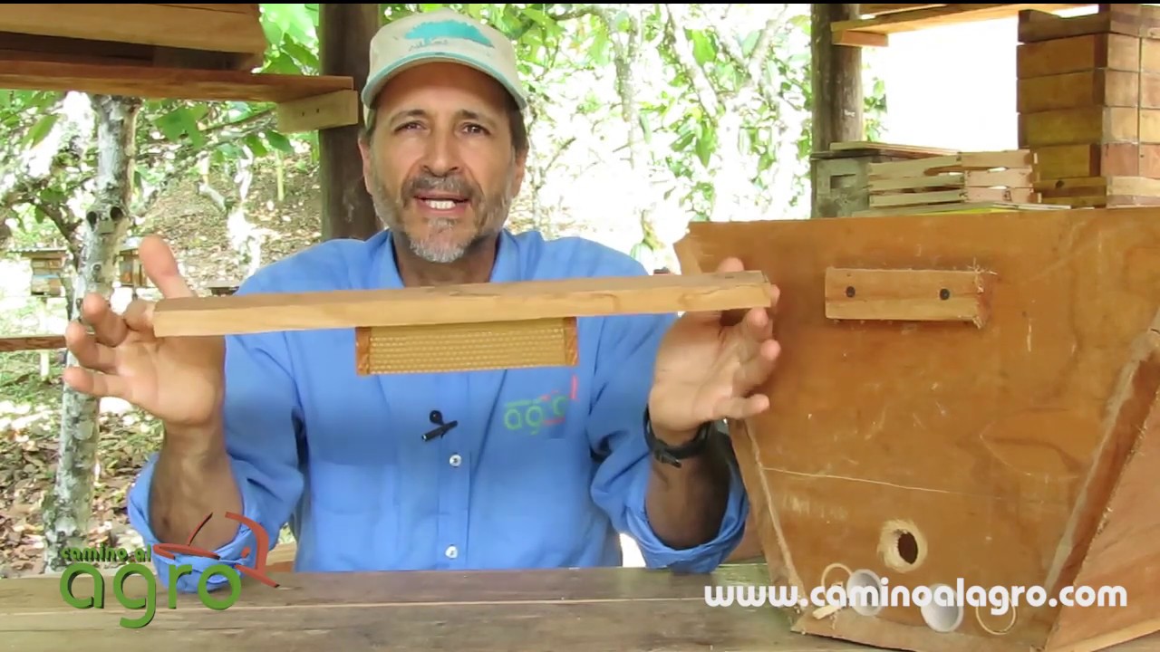 Colmena Kenya, marimba o de liston superior,Top Frame Hive - YouTube
