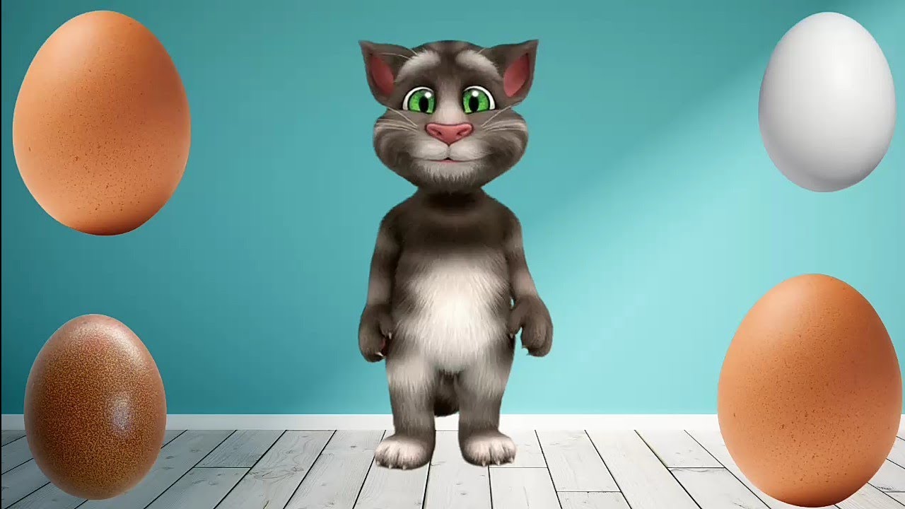 Eggs Eating Tom funny video ||Tom Talking Funny Video @MKBillu - YouTube