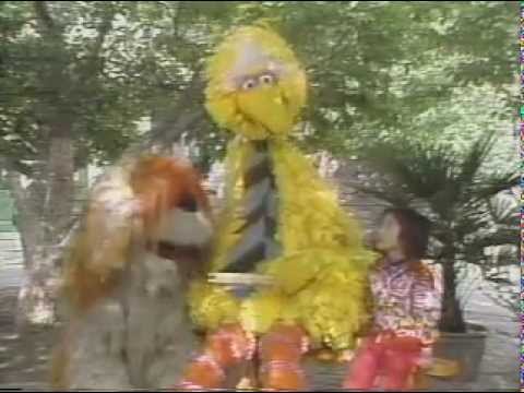 Big Bird in China