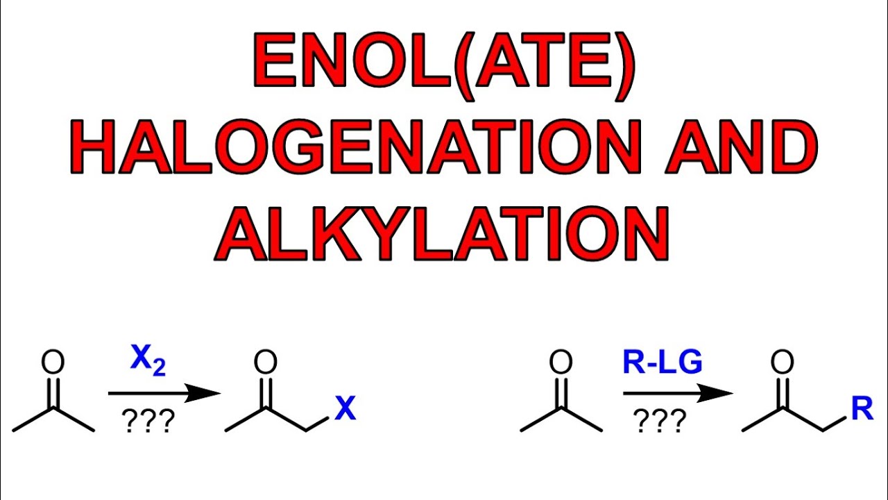Enolate Halogenation and Alkylation - YouTube