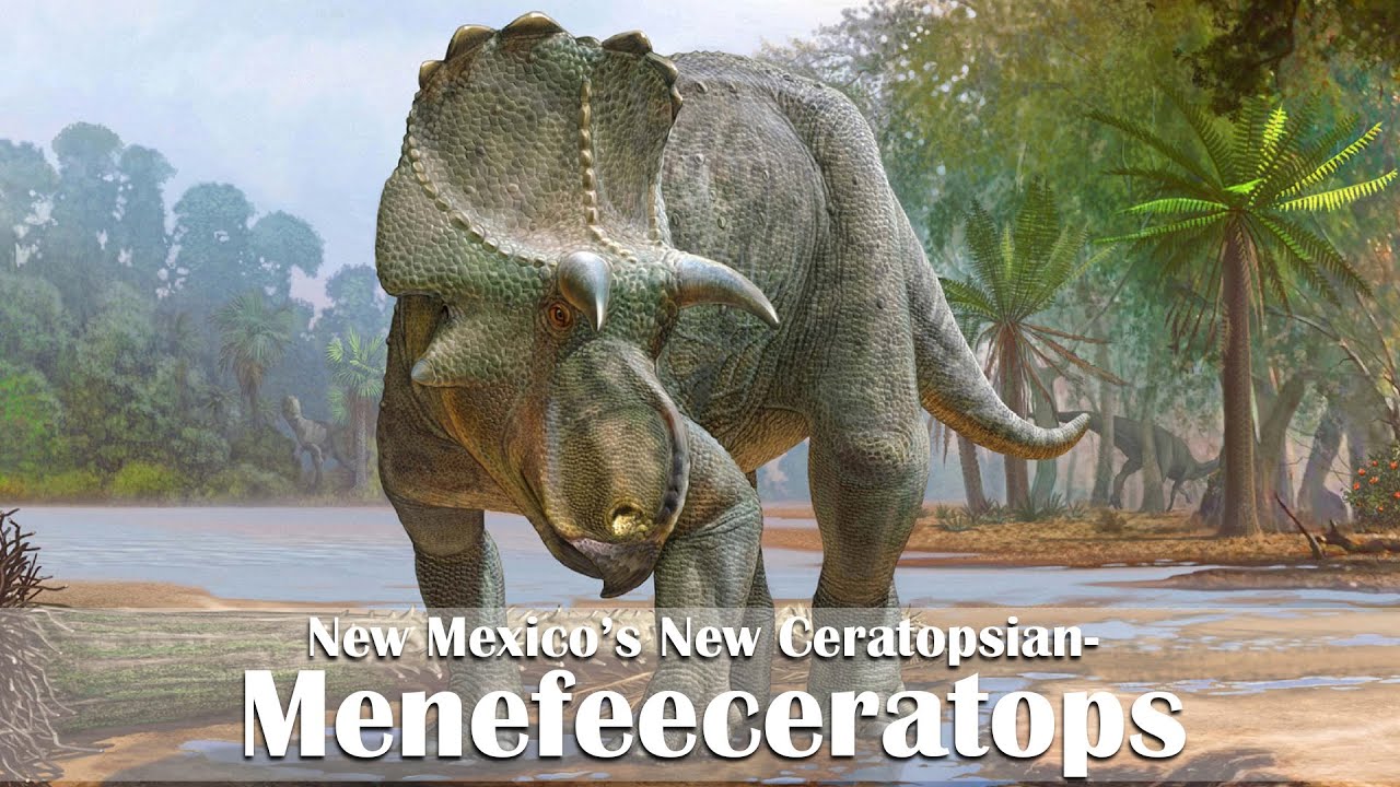 New Mexico's New Ceratopsian- Menefeeceratops - YouTube