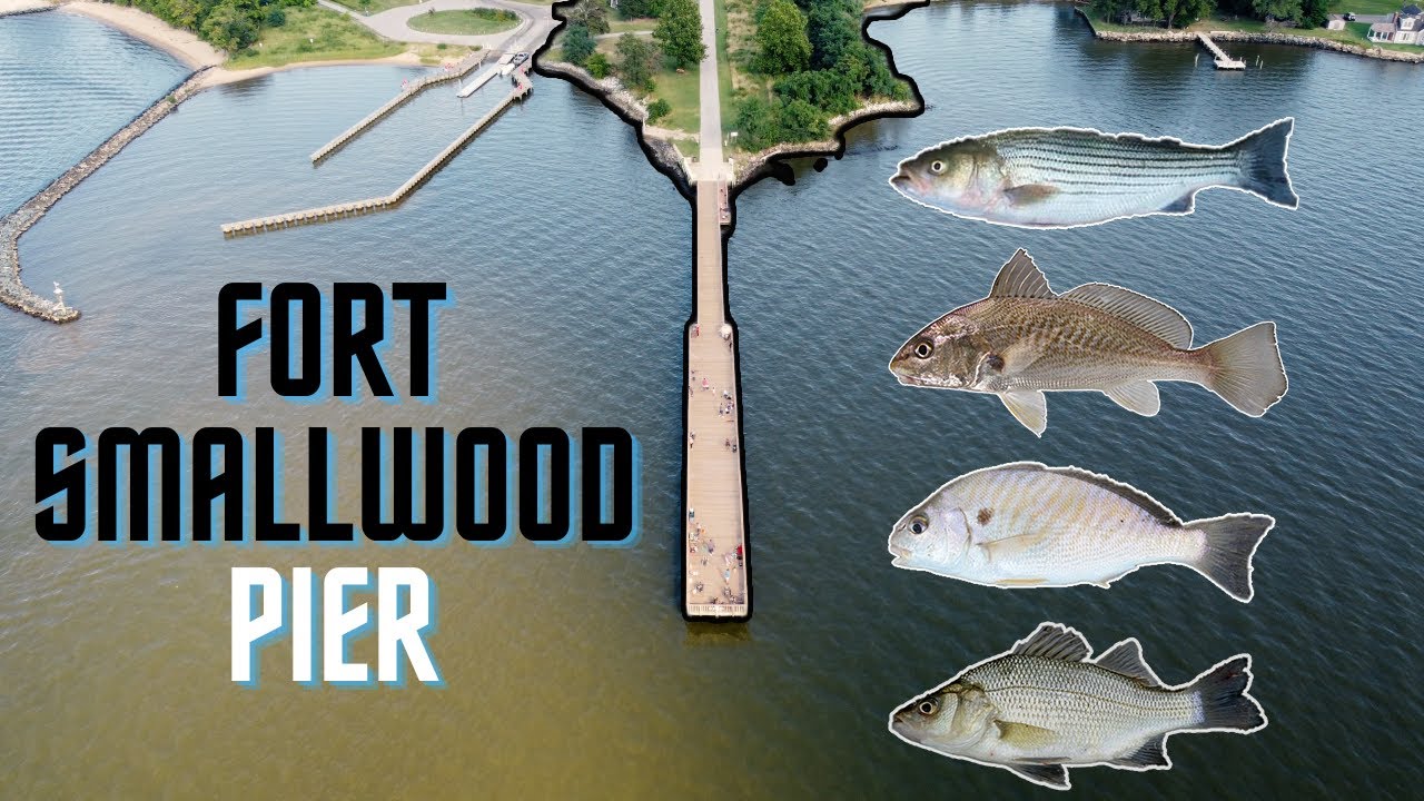 Fishing Fort Smallwood Pier | Patapsco River MD (Rockfish,Croaker ...