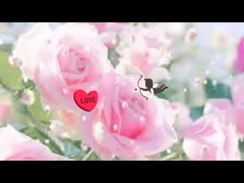 Tu ata h seene me 😍 whats app status video