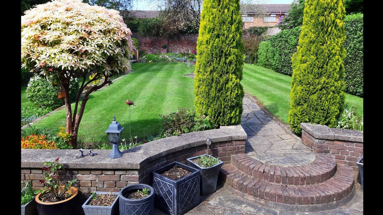 How the pollarding turned out..and pics of my day - YouTube