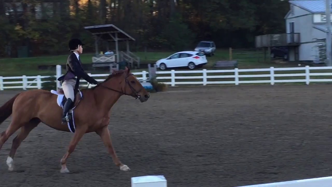 Resolute hunter course - YouTube