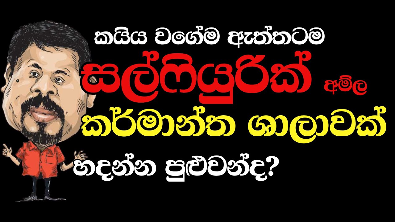අනුර කුමාර දිසානයක මහතා කිව්ව කතාව නිවැරදිද වැරදිද Youtube