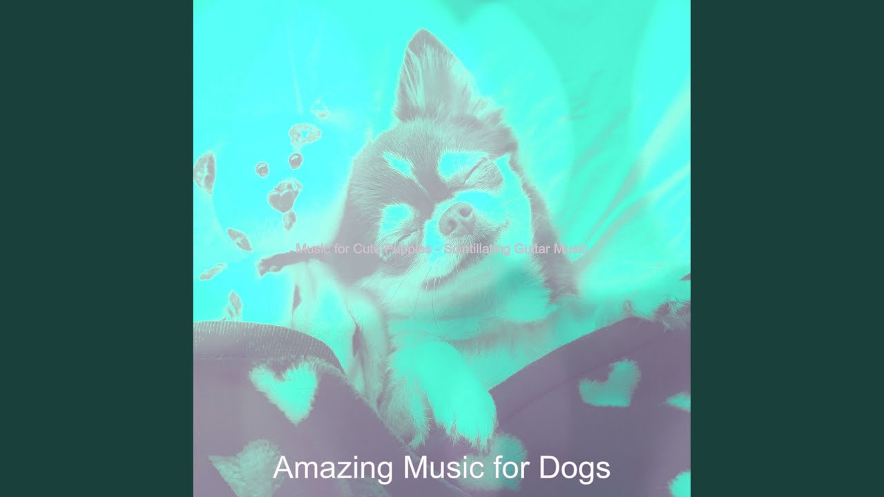 Background for Calming Dogs - YouTube