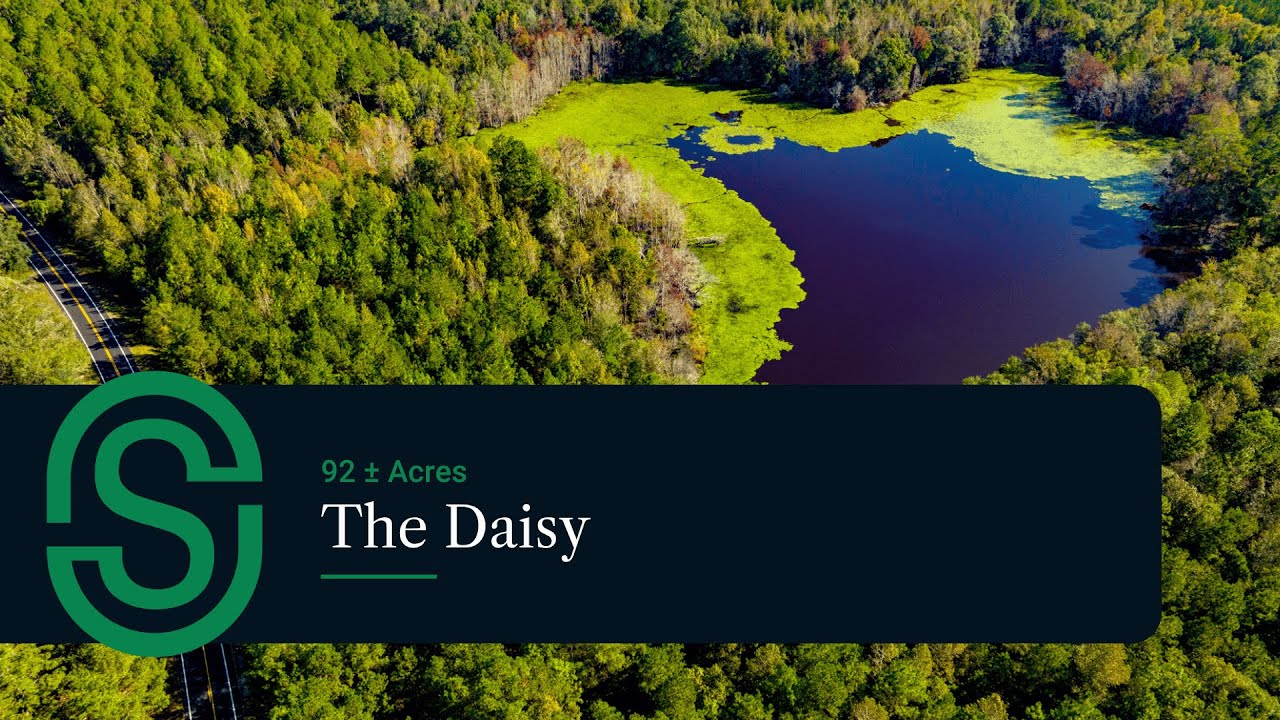 The Daisy • 92± Acres in Evans County, Georgia • Recreational Retreat ...