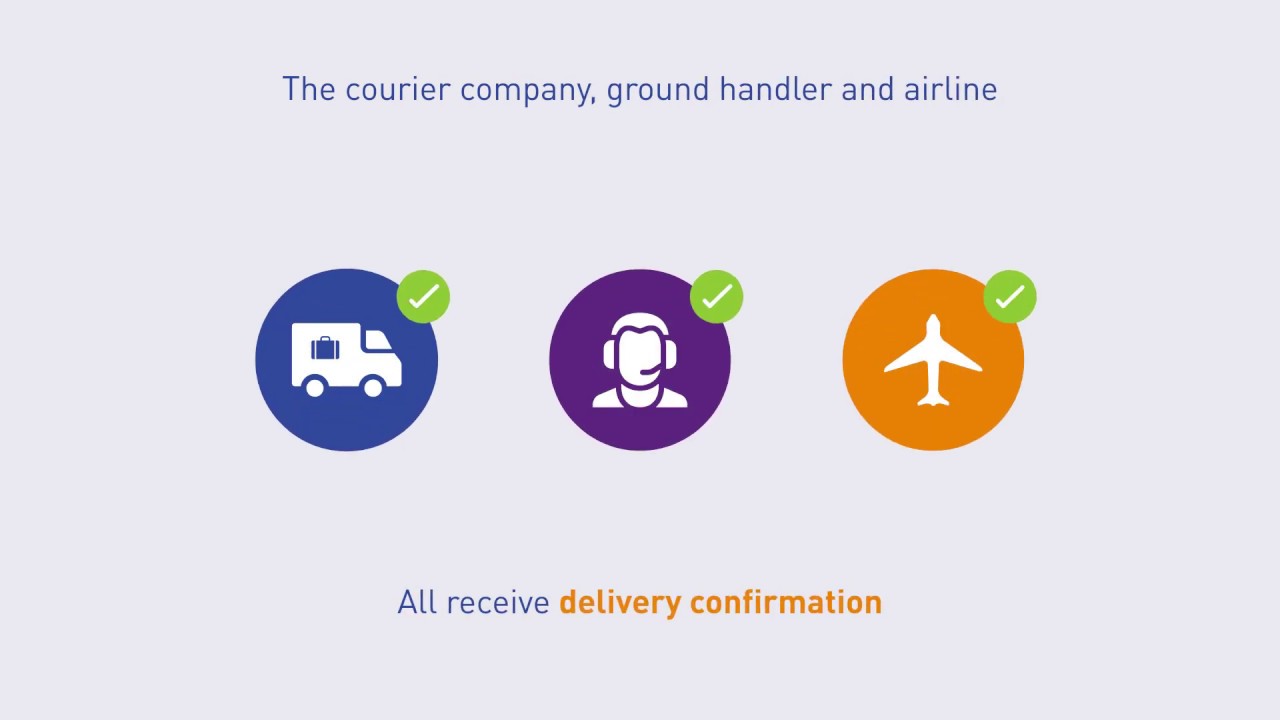 SITA WorldTracer® Bag Delivery Service - YouTube