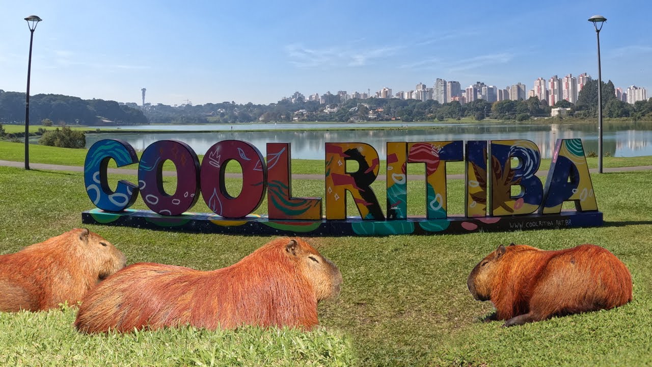 Capybaras live free in this park | CURITIBA - BRAZIL - YouTube