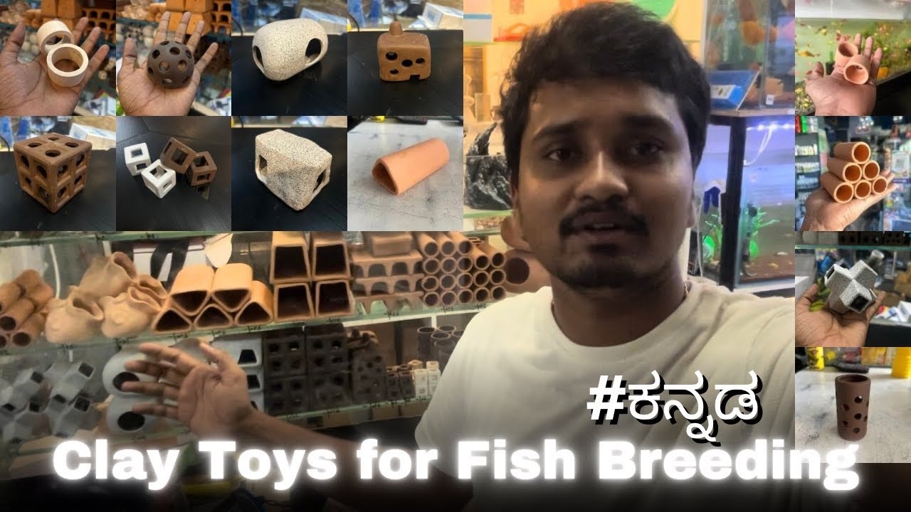 Clay Toys for fish breeding & Hiding spots - YouTube