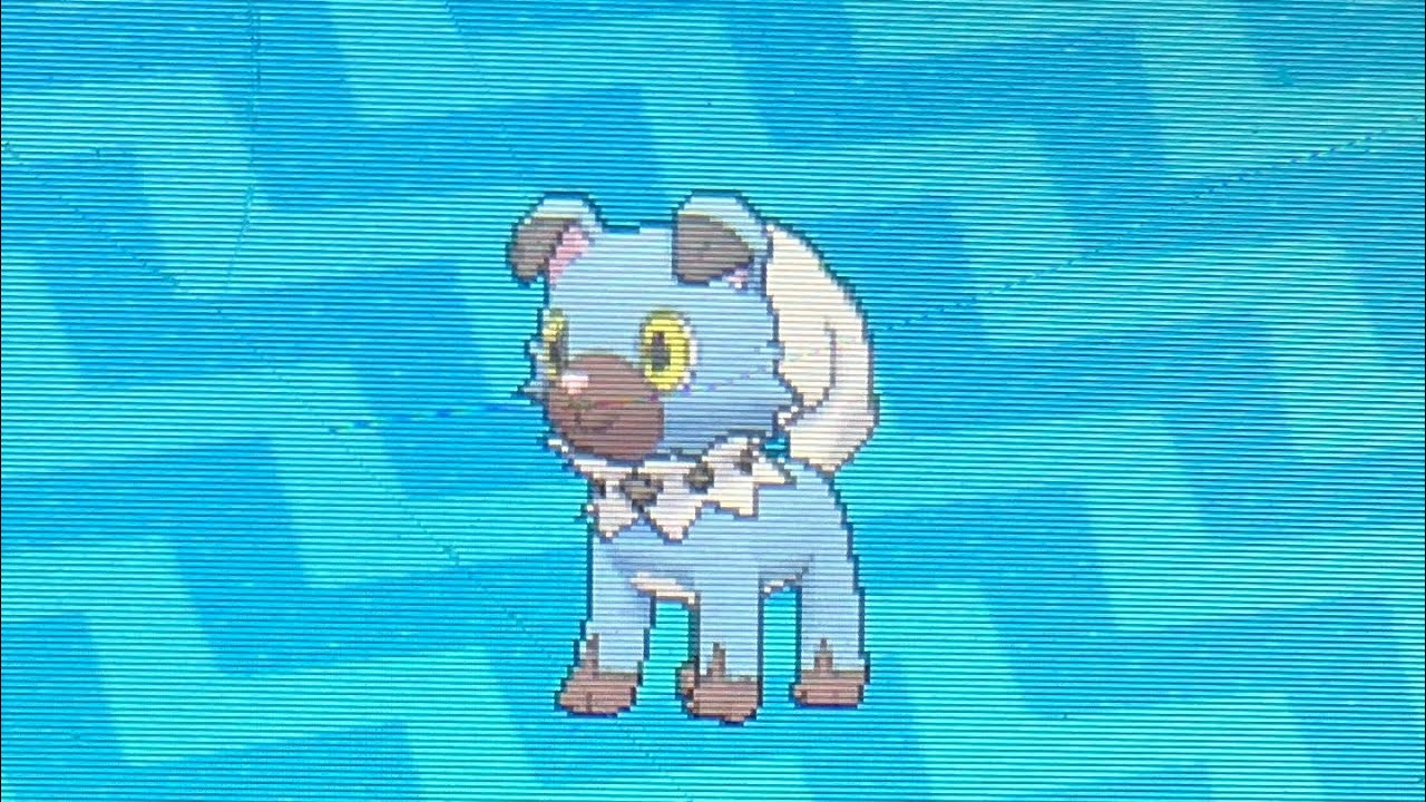 Pokemon Ultra Sun Shiny Rockruff + Lycanroc Midnight Evolution - YouTube