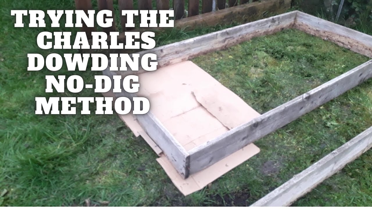 Trying The Charles Dowding No Dig Method [Gardening Allotment UK] [Grow ...