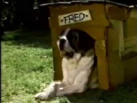 Mealtime dog food ad from 1981 - YouTube