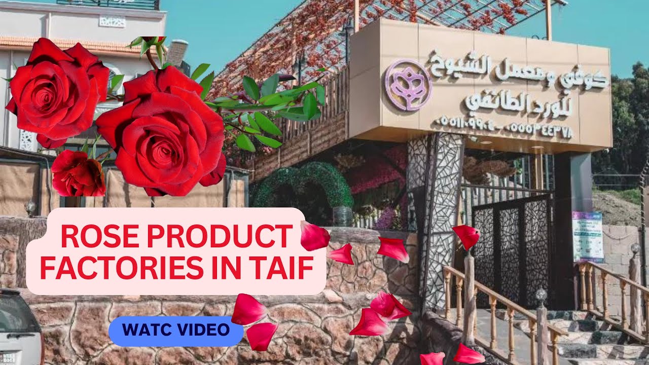 Rose🌹 Perfume Factory Taif Al Hada Saudi Arabia | Beautiful City of ...
