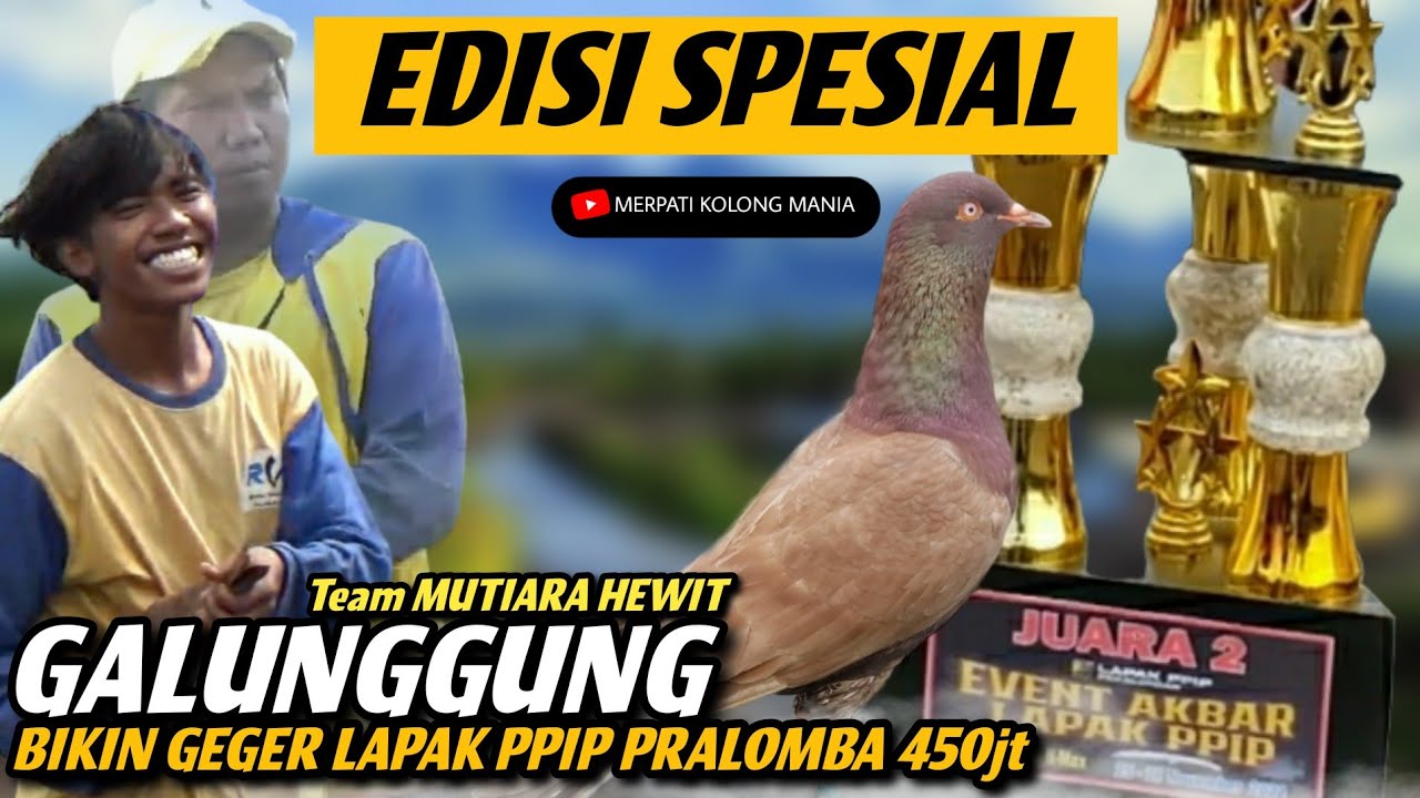 EDISI SPESIAL AKSI MERPATI KENCANG "GALUNGGUNG" Team MUTIARA HEWIT ...
