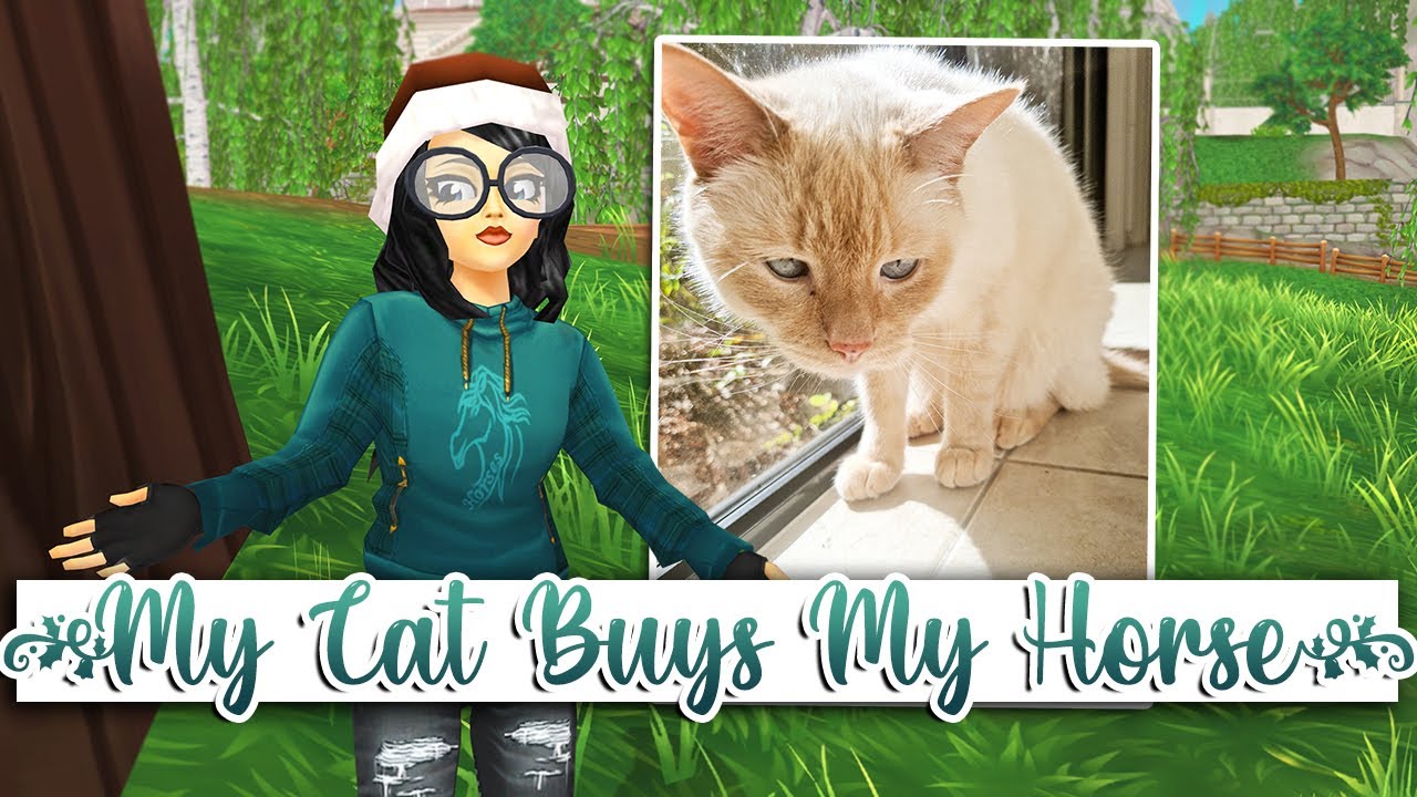 Star Stable My Cat Milo Chooses the Horse I Buy 😳 Generation 1, 2 and 3 ...