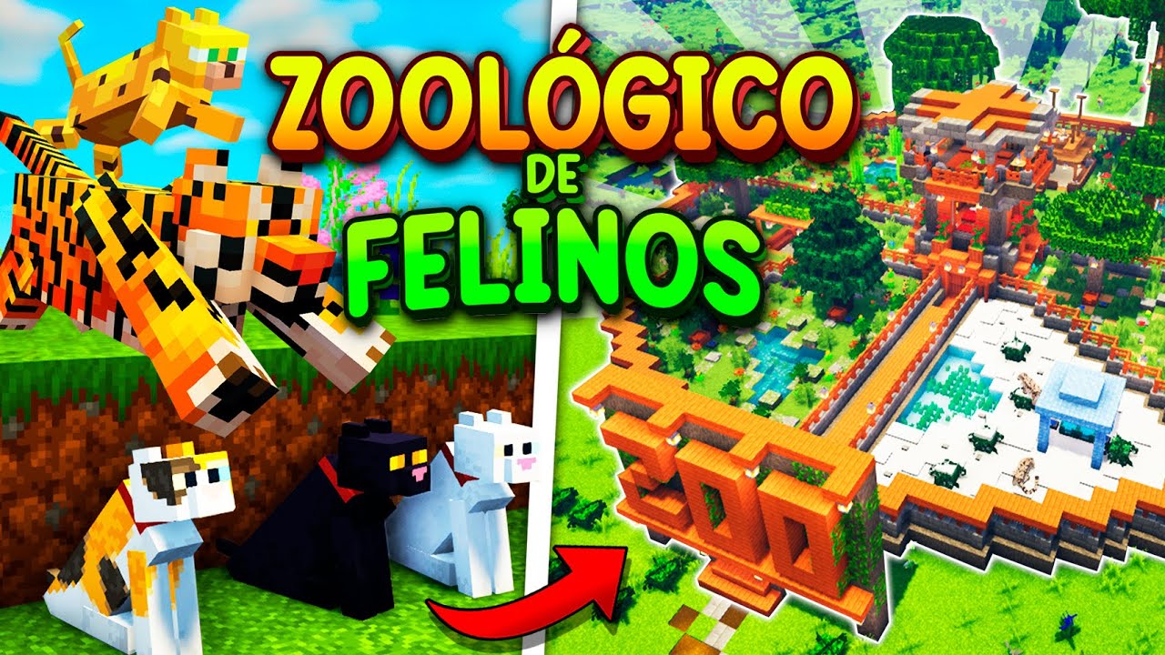 Construí un ZOOLÓGICO de FELINOS en MINECRAFT 🦁🐯 - YouTube