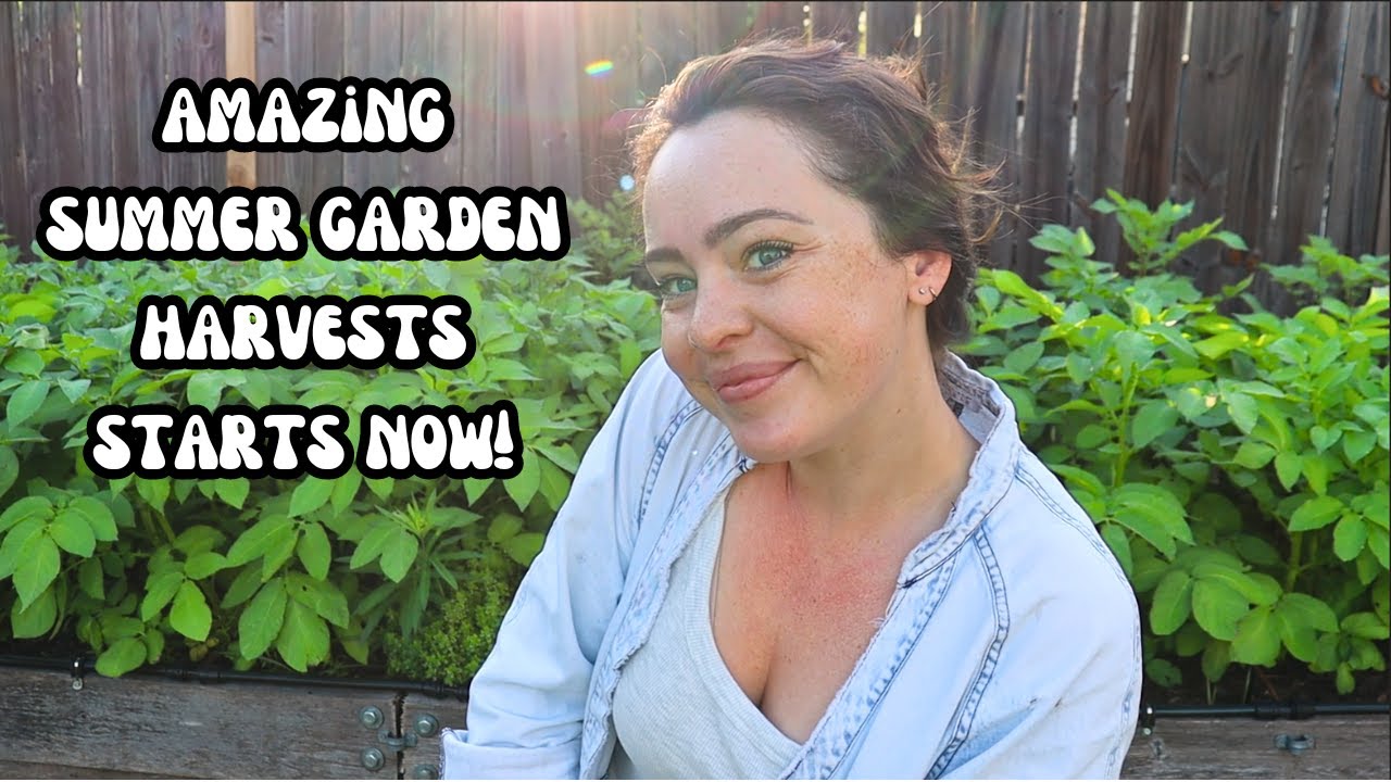 5 Spring Garden Tasks to do NOW to Maximize Summer Harvests - YouTube