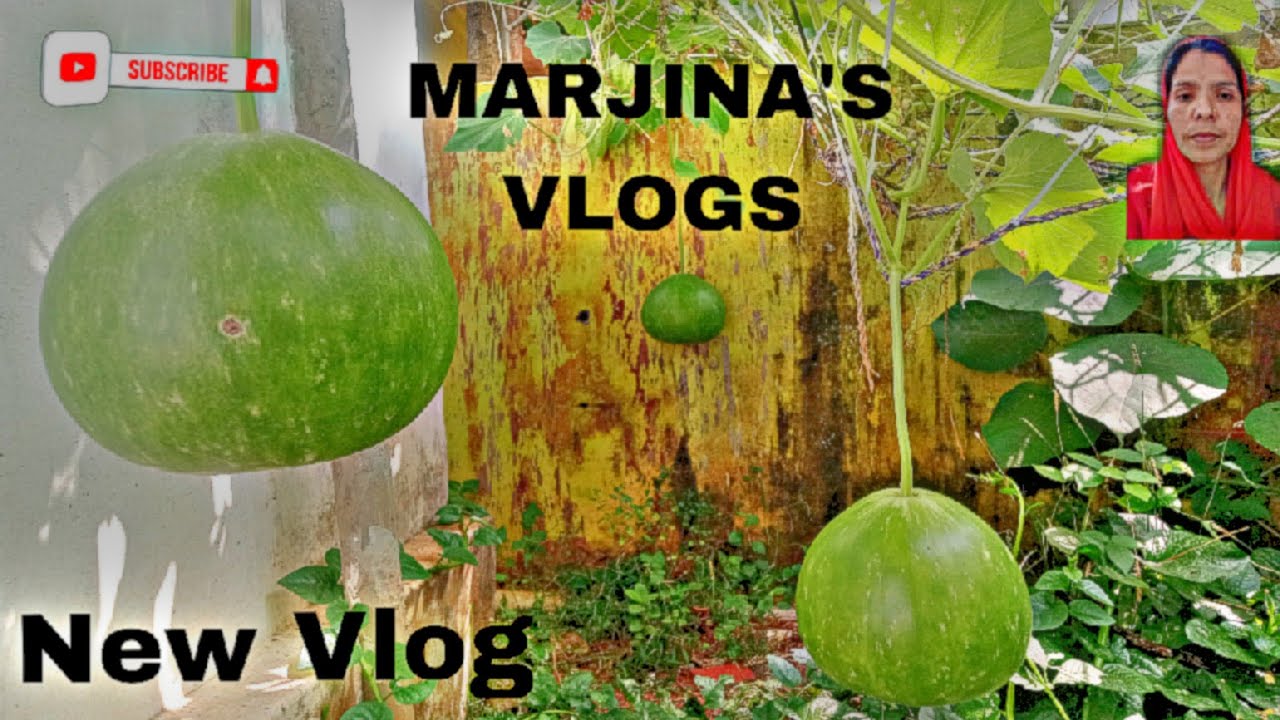 😊My New Vlog In||Bangla||Welcome To 💗 MARJINA'S VLOGS ♥️ Please ...