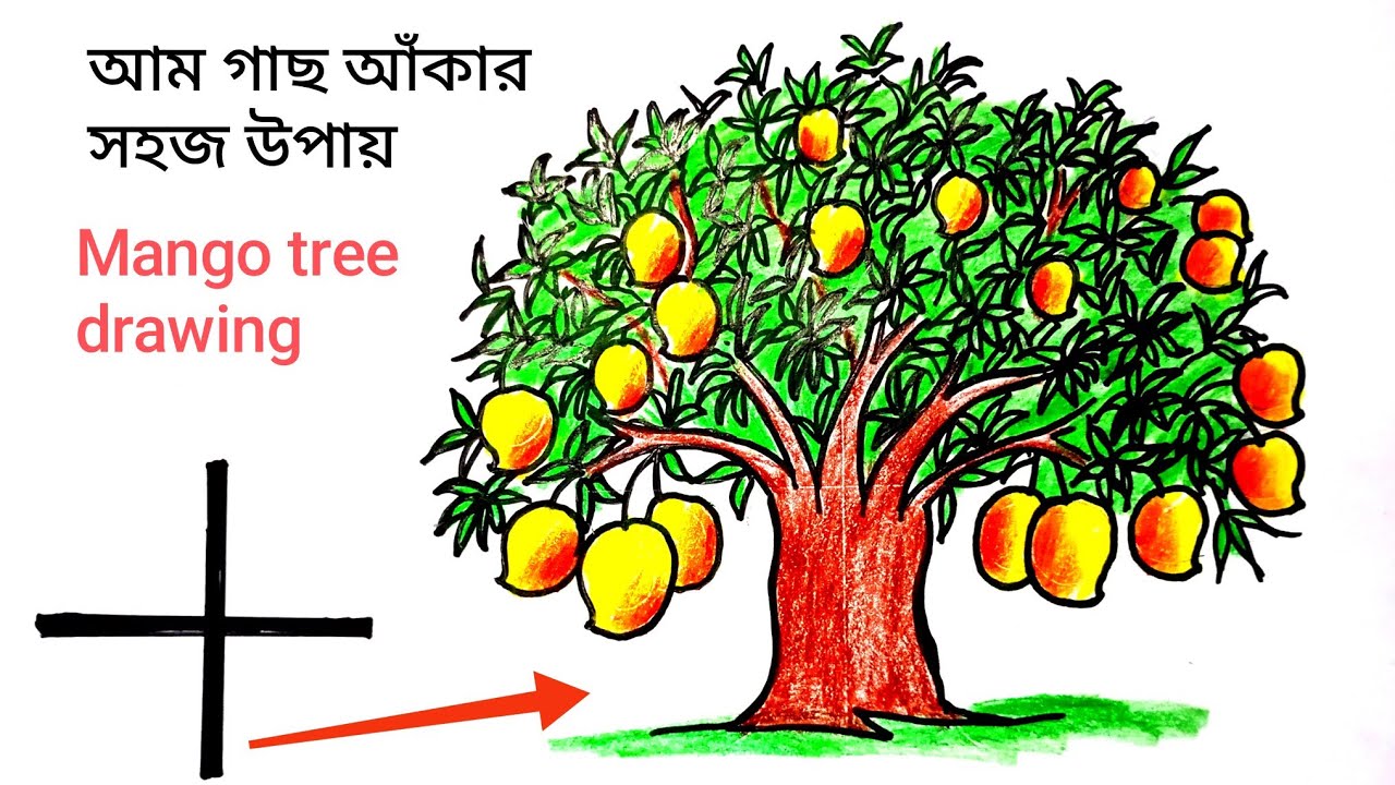 how to draw mango tree step by step l mango tree drawing l mango tree ...