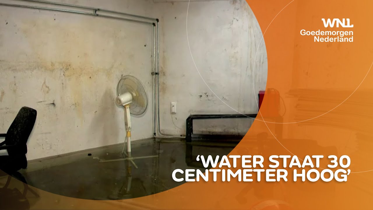 Honderden kelders onder water door hoge waterstand: ‘Schimmel gaat in ...