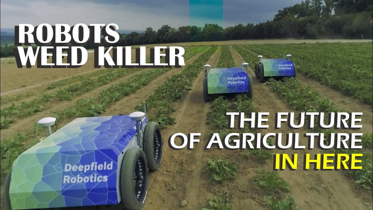 Awesome Agriculture Technology - Weed-killing Robots (P.2) - YouTube