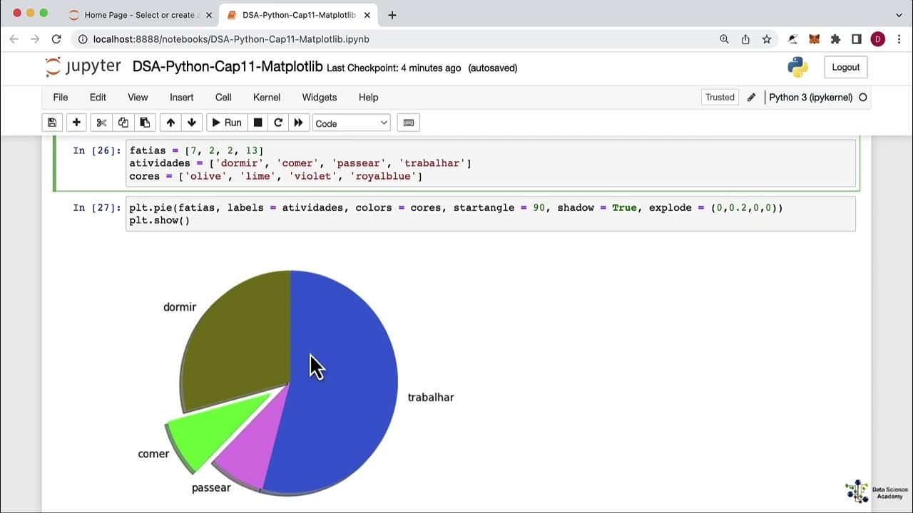 O Que é e Como Criar Gráfico de Pizza com Matplotlib em Python? - YouTube